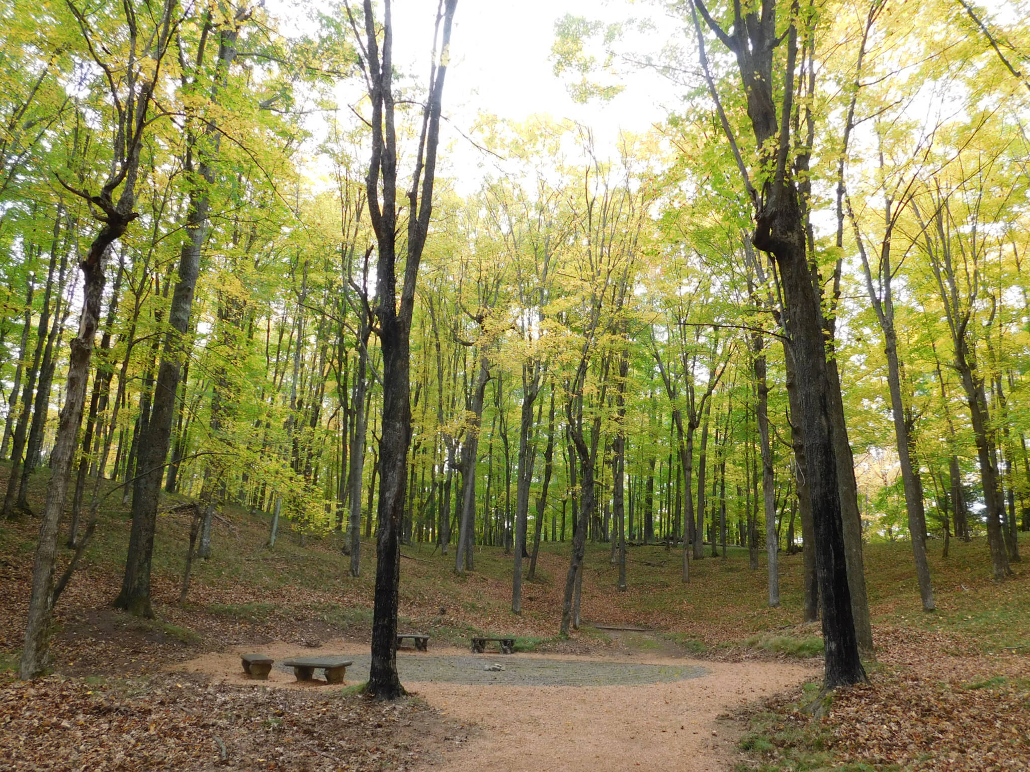 Memory Camp Volunteer - United Church Camps, Inc.